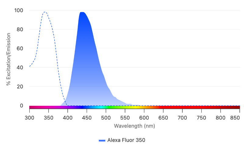 Alexa Fluor® 350 Conjugated Antibodies | Cell Signaling Technology